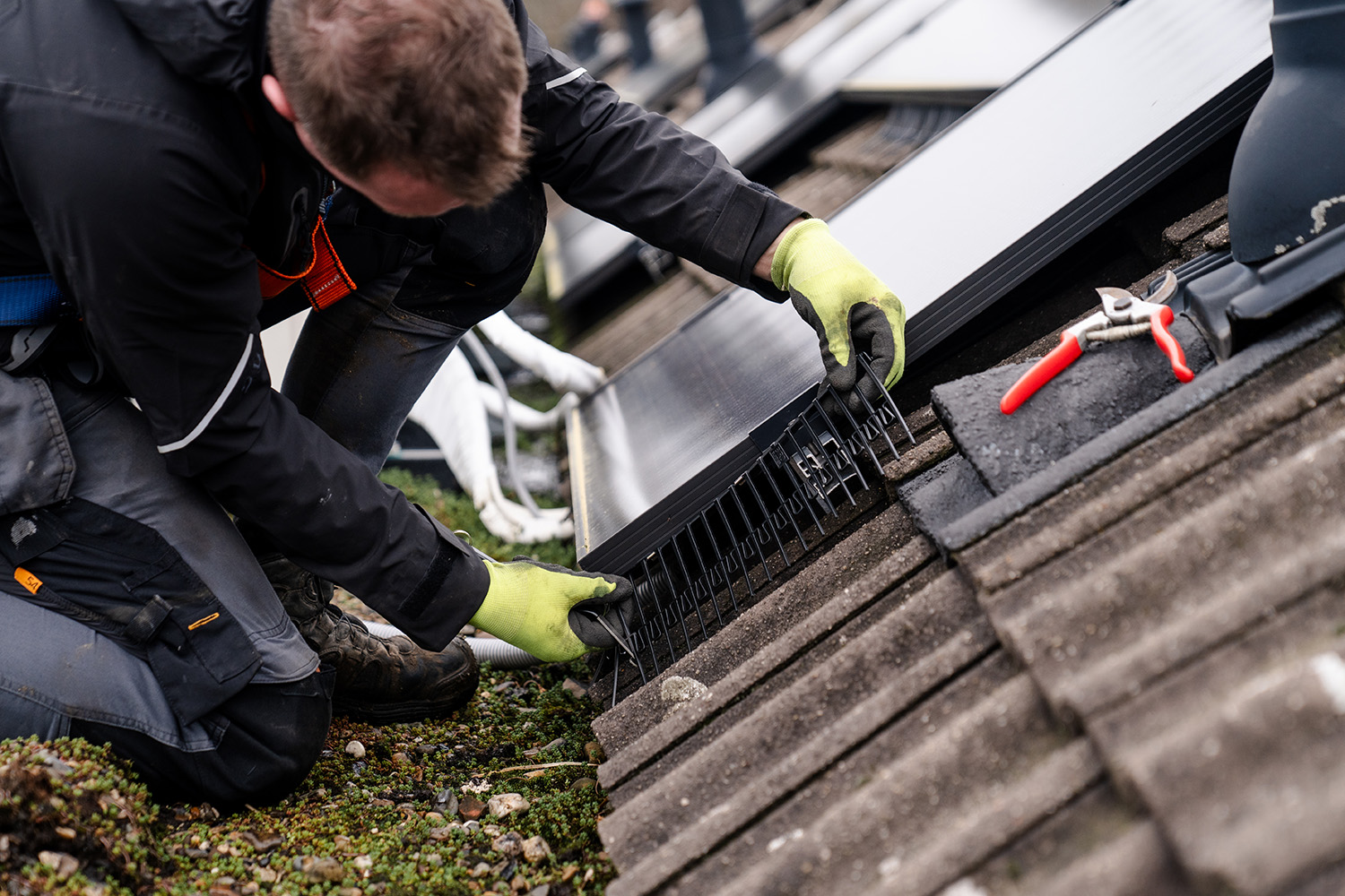 Solar Panel Protection from Birds: The BirdBlocker Advantage