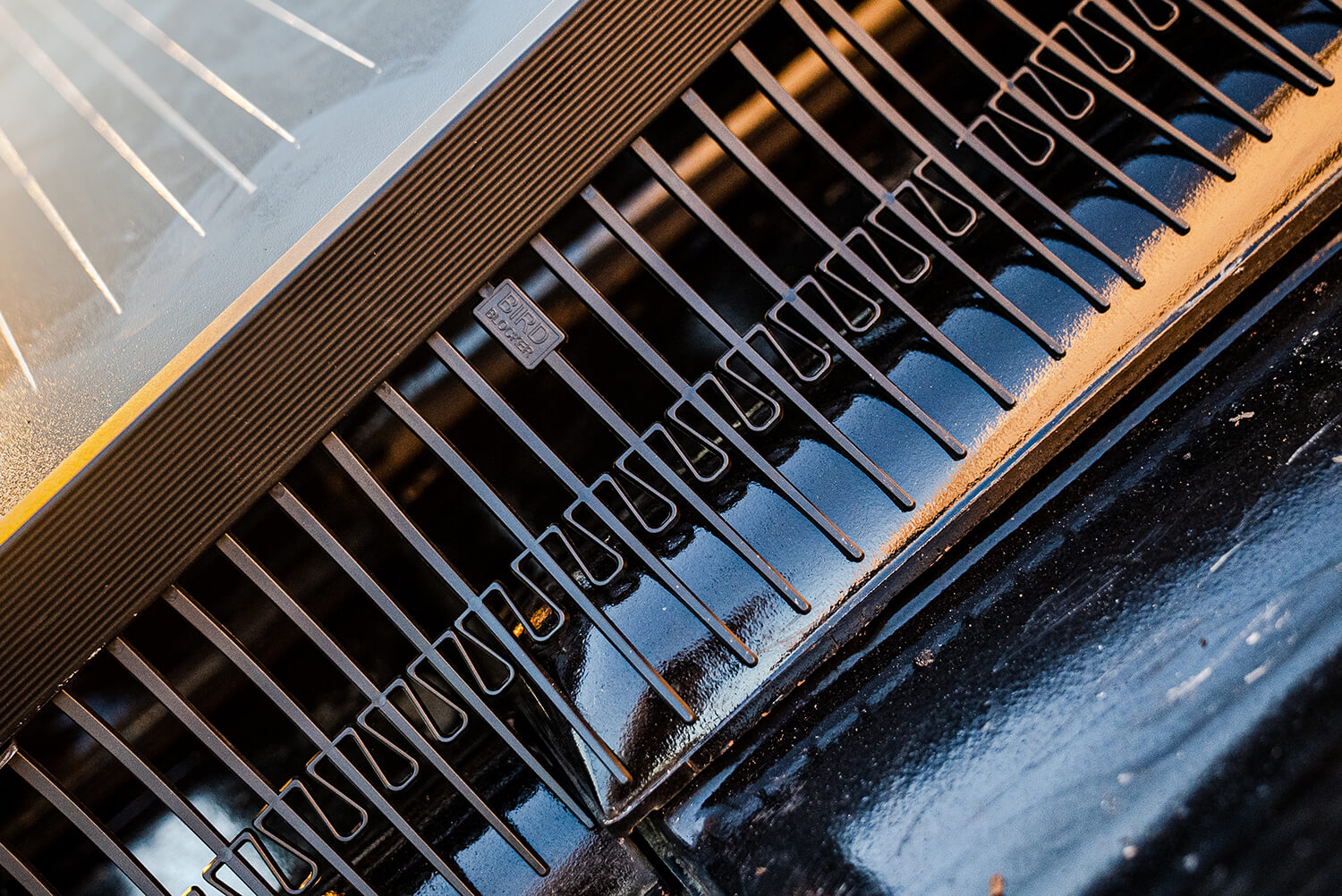 Bird Protection for Solar Panel Professionals